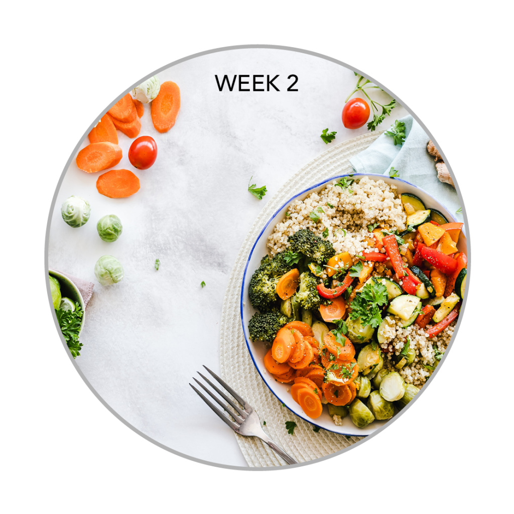 The Plan – Digestive Clearing Diet