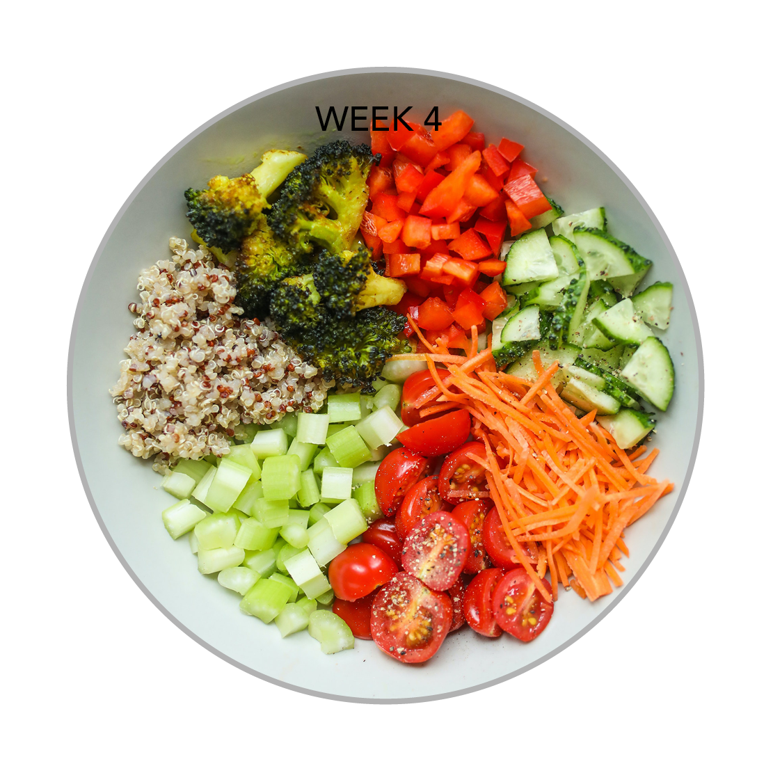 The Plan – Digestive Clearing Diet